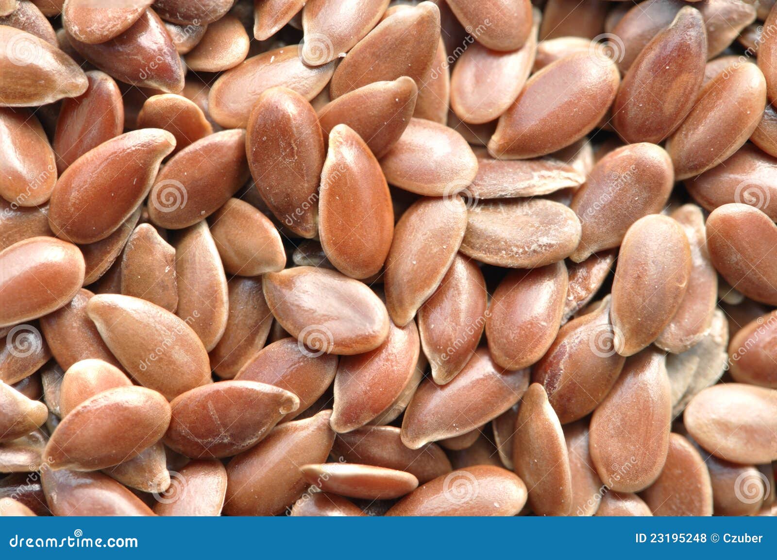 Graine de lin photo stock. Image du fermer, pile, nutrition - 23195248