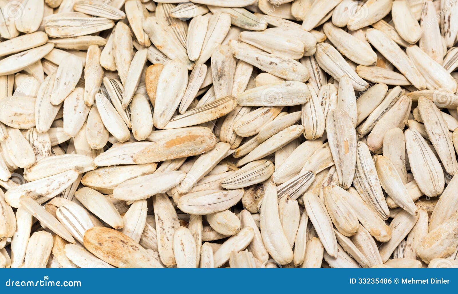 Graine de tournesol photo stock. Image du tournesol, sain - 33235486