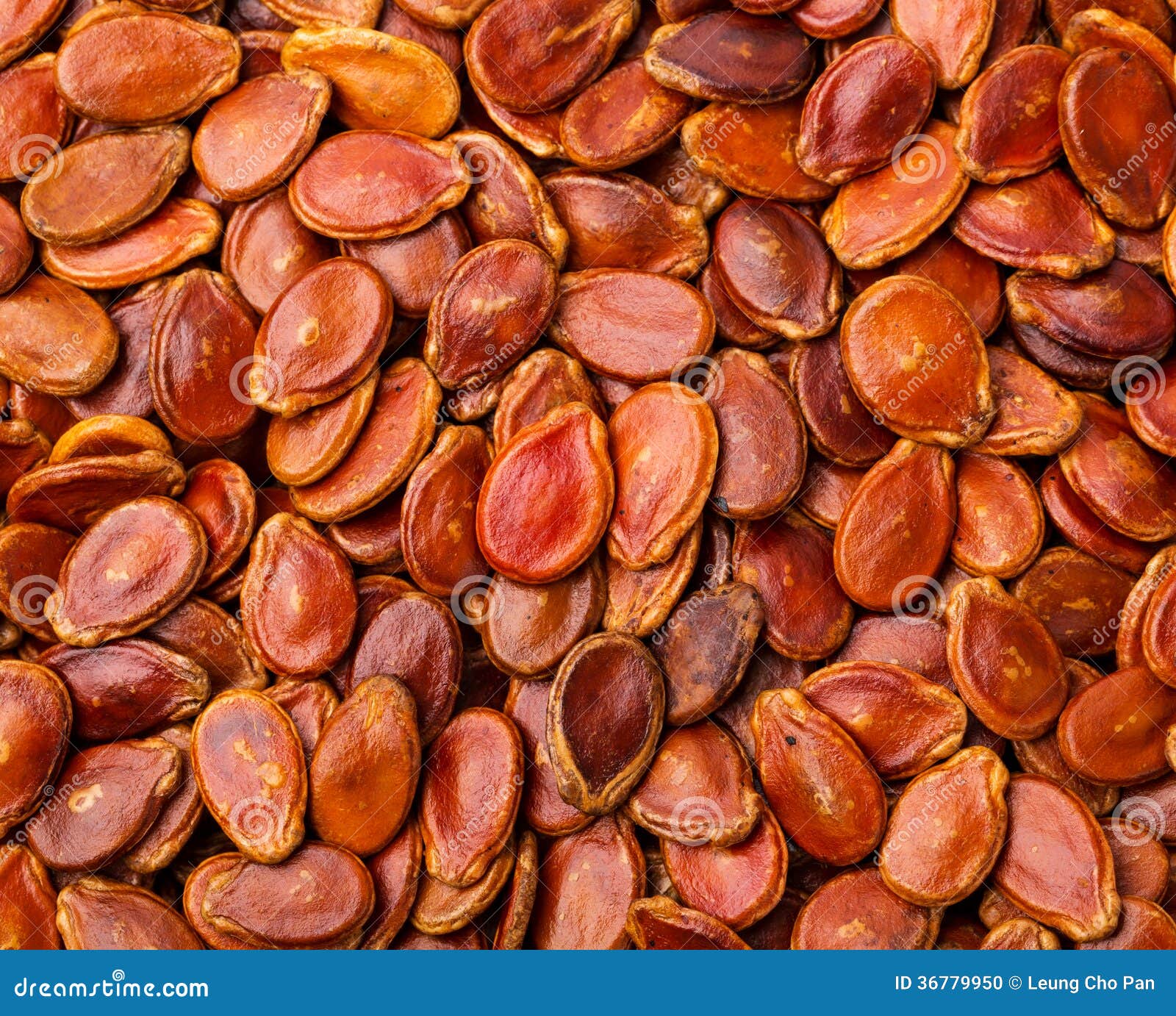 Graine rouge de melon photo stock. Image du frit, graine - 36779950