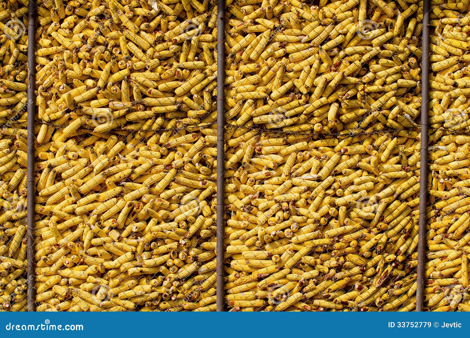 Grainery stock image. Image of nature, ears, agricultural - 33752779