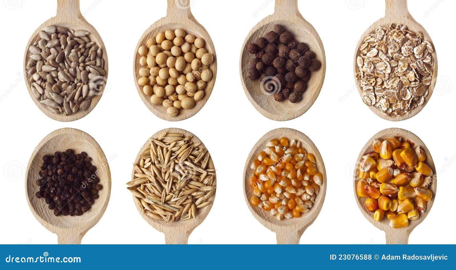 Graines Photos libres de droits - Image: 23076588