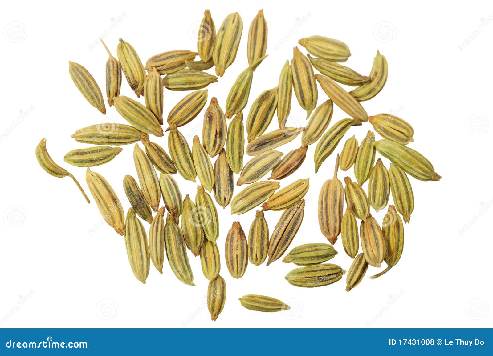 Graines d'anis photo stock. Image du ramassage, ingrédient - 17431008