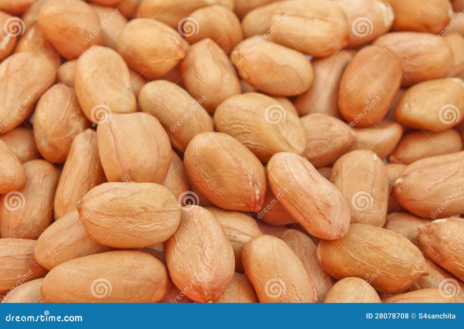 Graines d'arachide photo stock. Image du arachide, légumineuse - 28078708