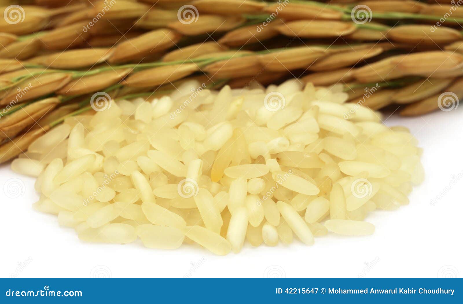 Graines D'or De Paddy Avec Du Riz Cru Image stock - Image du asiatique ...