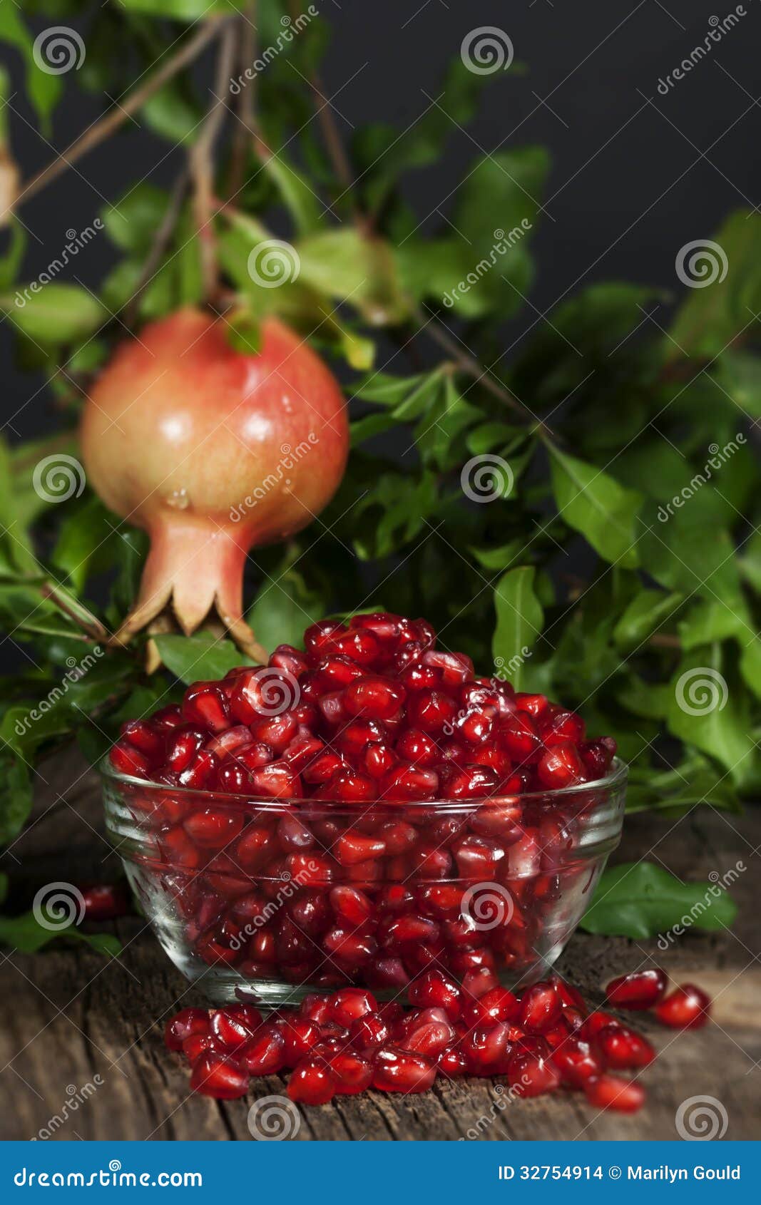 Graines De Grenade Accrochant Le Fruit Entier 2 Photo stock - Image du ...