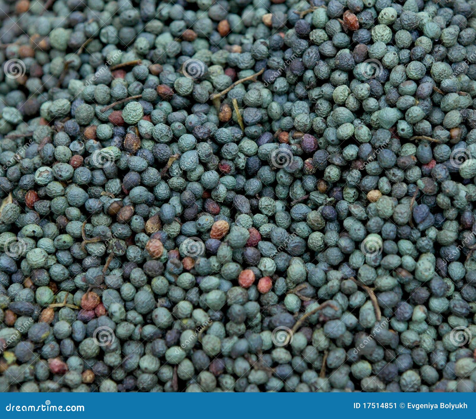 Graines de poivre vert image stock. Image of fermer, nourriture - 17514851