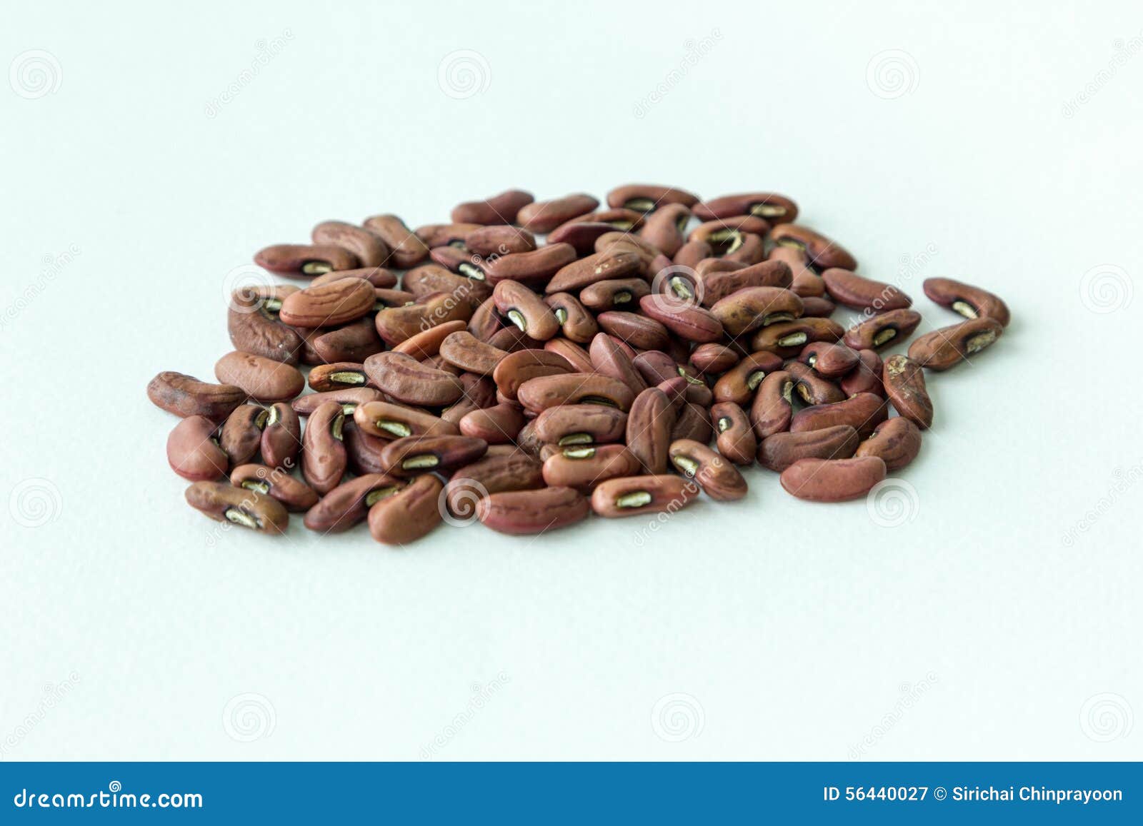 Graines Longues De Haricot De Yard Image stock - Image du agriculture ...