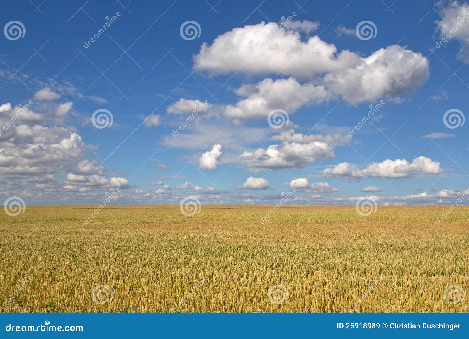 Bavarian Grainfield Stock Photos - Free & Royalty-Free Stock Photos ...