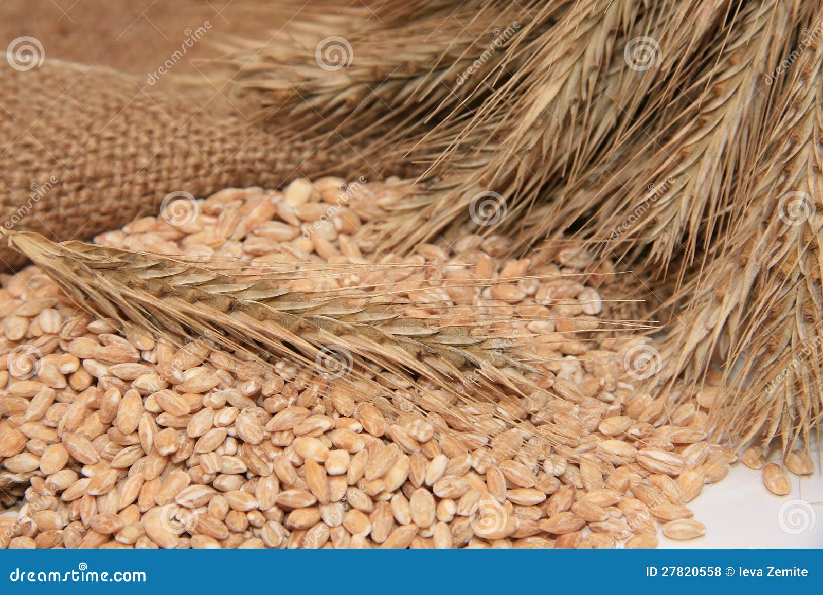 Grains stock photo. Image of background, breakfast, food - 27820558