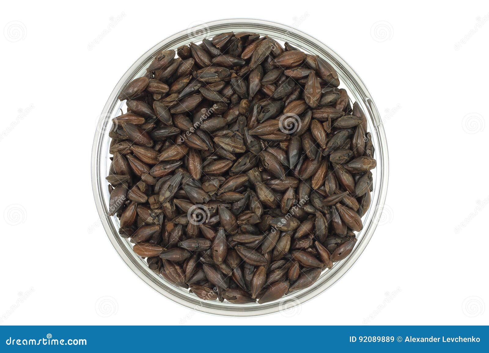 Grains of Burnt Barley in a Glassware Stock Image - Image of flavor ...