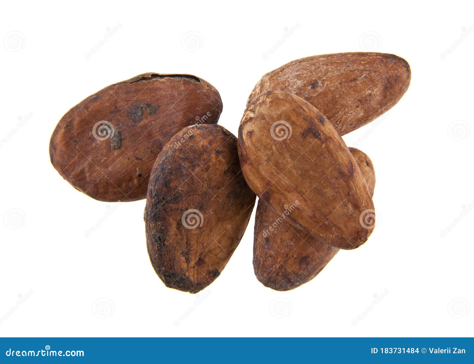 Grains of Cocoa Isolated on White Background Stock Photo - Image of ...