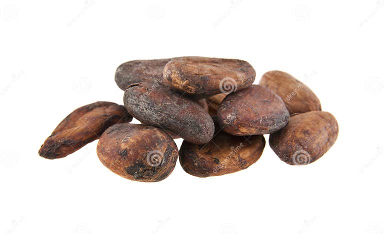 Grains of Cocoa Isolated on White Background Stock Photo - Image of ...