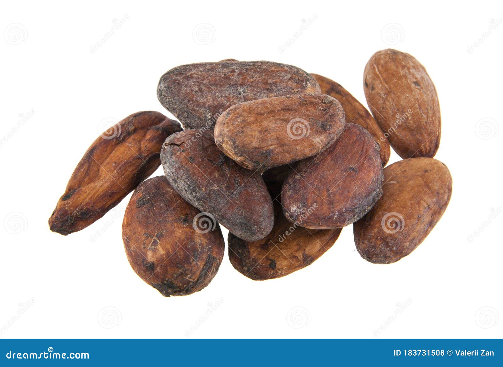 Grains of Cocoa Isolated on White Background Stock Photo - Image of ...