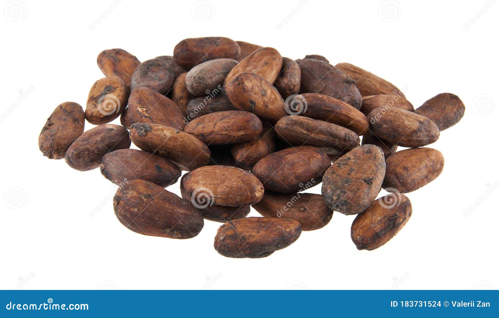 Grains of Cocoa Isolated on White Background Stock Photo - Image of ...