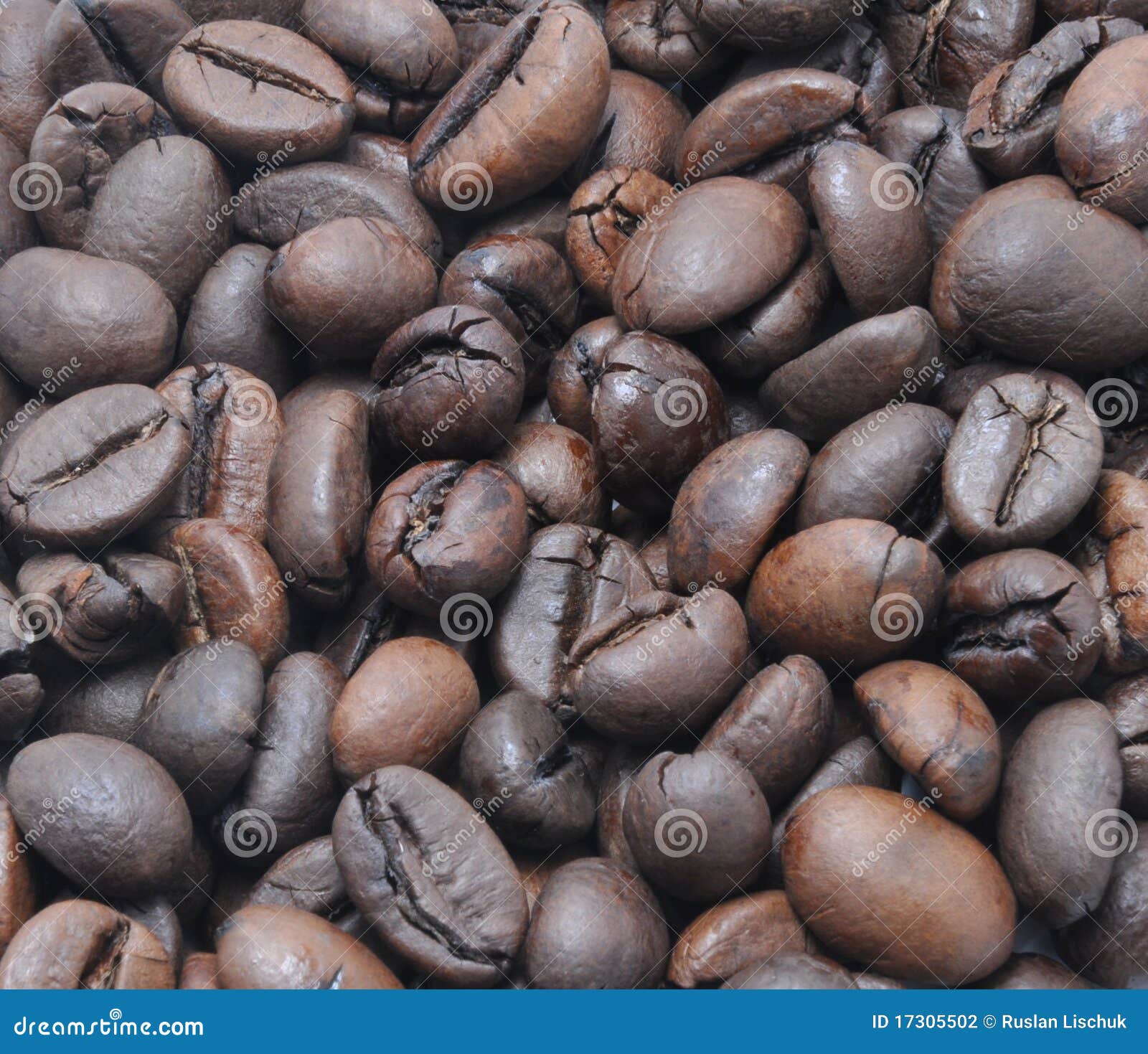 Grains of coffee stock photo. Image of black, large, invoice - 17305502