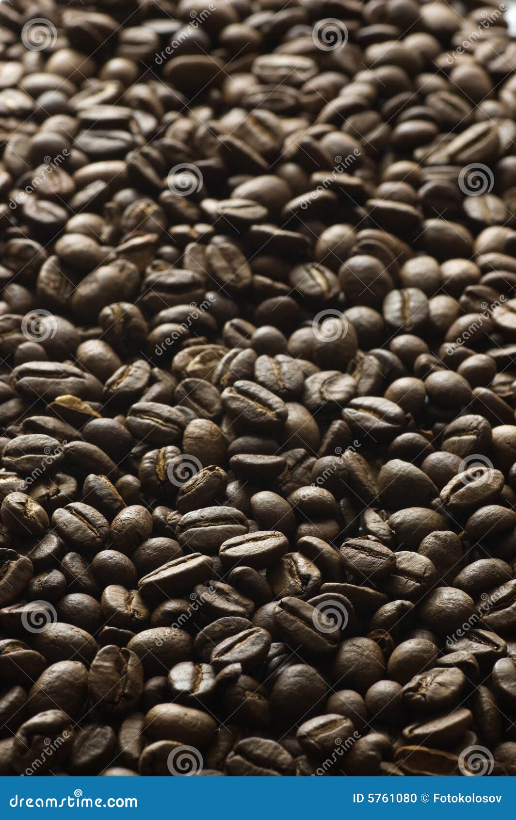 Grains of coffee stock photo. Image of energy, grains - 5761080