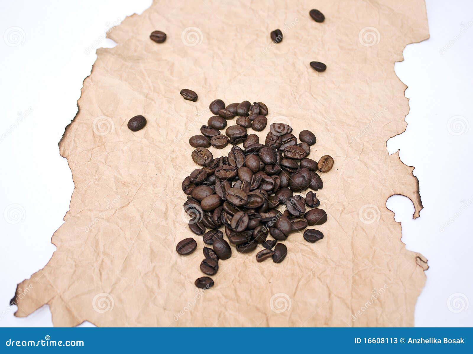 Grains of Coffee on a Singed Paper Stock Image - Image of coffee ...