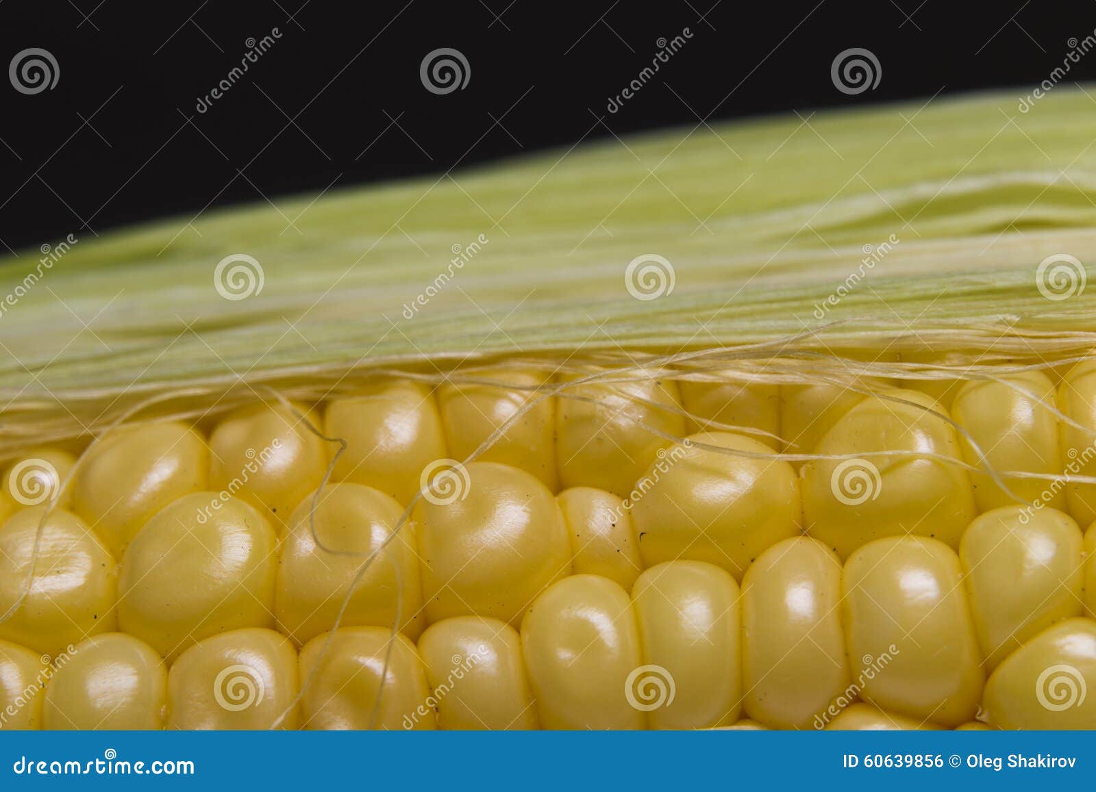 Grains of corn cob. Macro stock photo. Image of sweets - 60639856