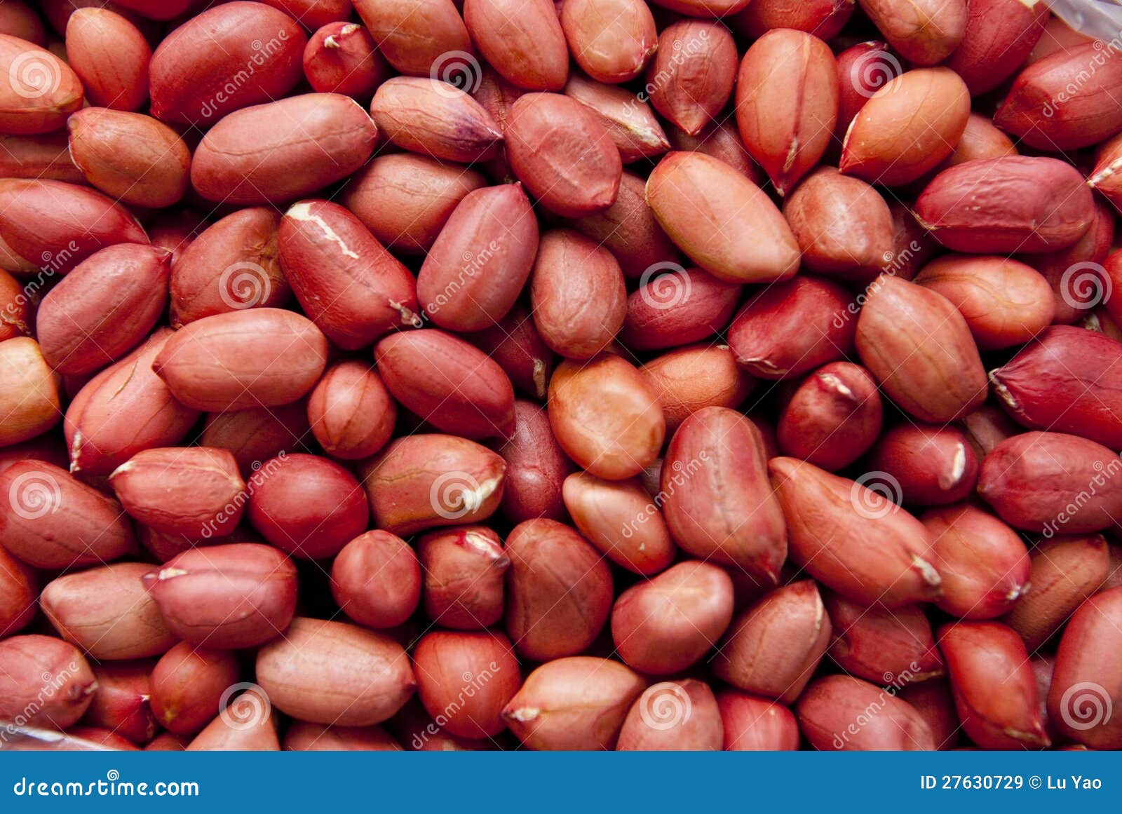 Grains d'arachide image stock. Image du fond, ingrédient - 27630729