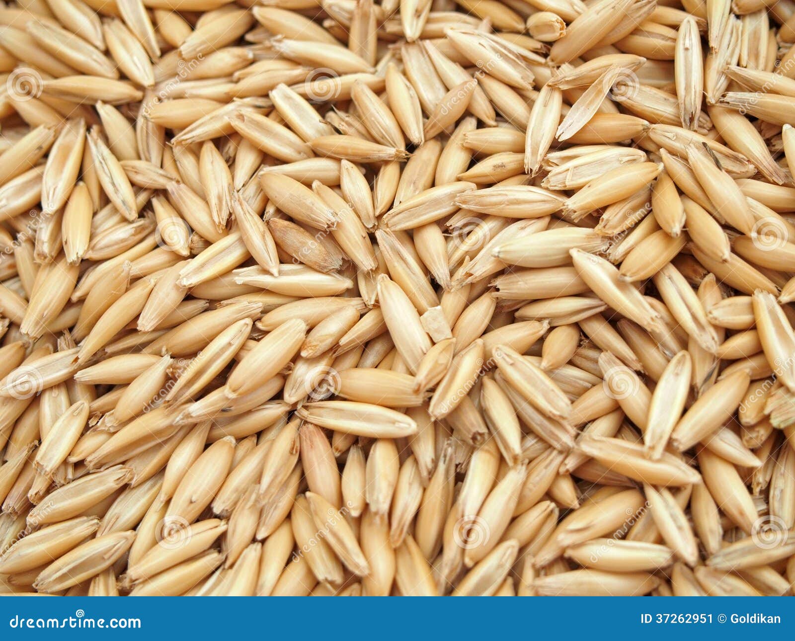Grains d'avoine image stock. Image du repas, avoine, sain - 37262951