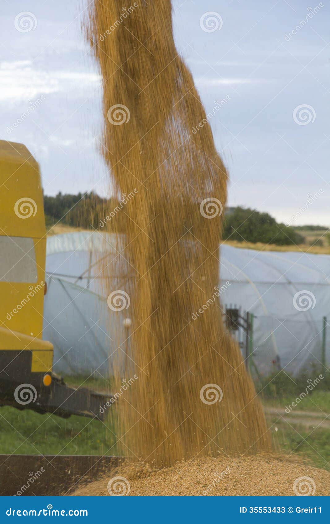 Grains Falling from Combine Harvester Stock Image - Image of exposure ...