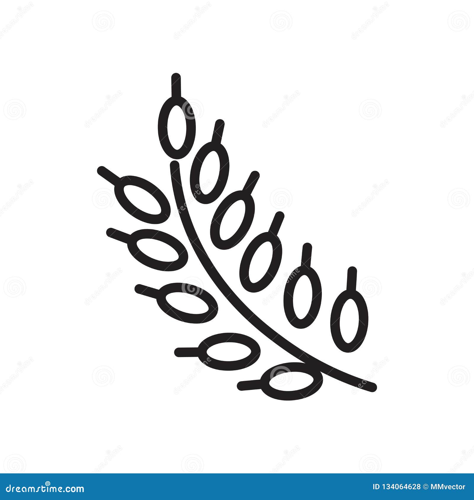 Grains Icon Vector Isolated on White Background, Grains Sign , Linear ...