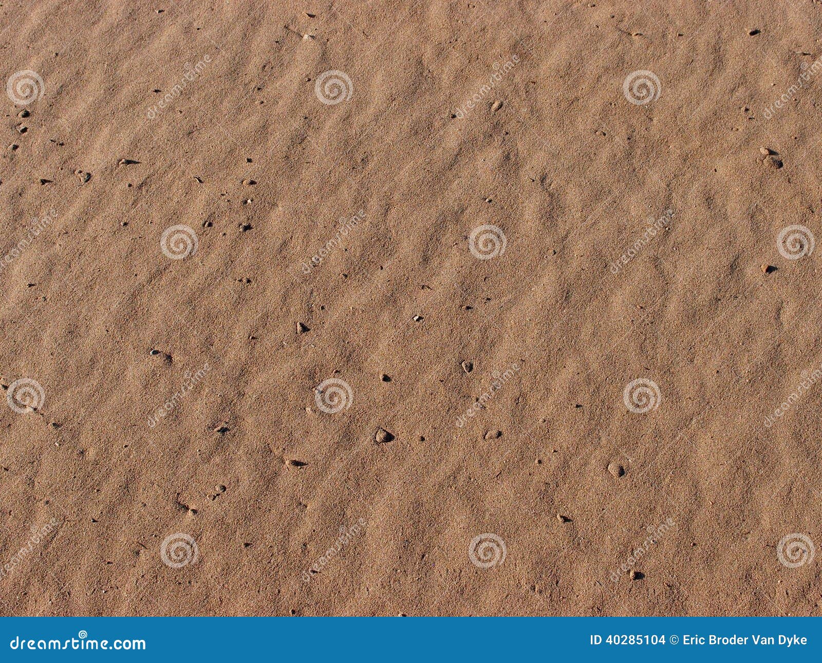 Grains of LA Beach Sand and Shells Stock Photo - Image of paradise ...