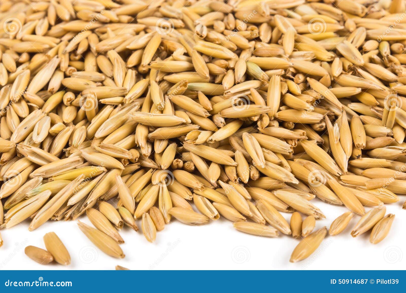 Grains of oats stock image. Image of processed, grains - 50914687