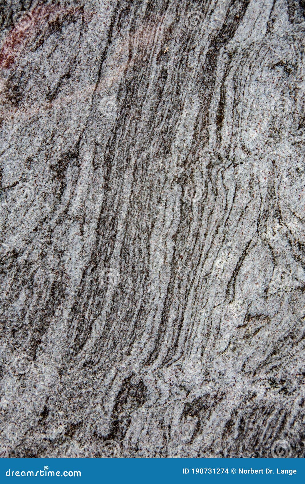 Grains on polished granite stock photo. Image of fractal - 190731274