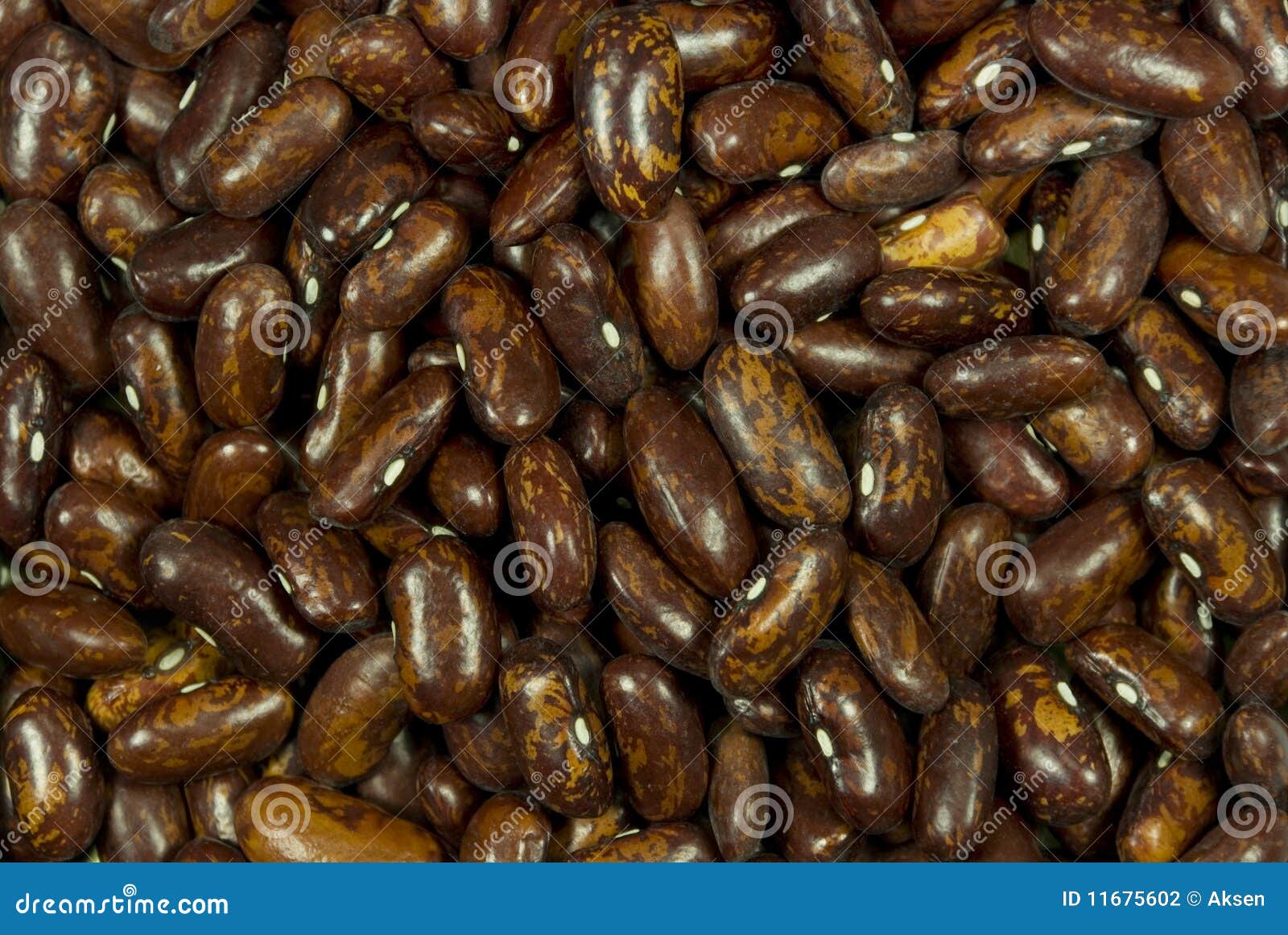 Grains of a Red String Bean Stock Photo - Image of version, background ...