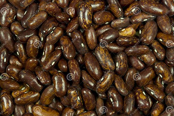 Grains of a Red String Bean Stock Photo - Image of version, background ...