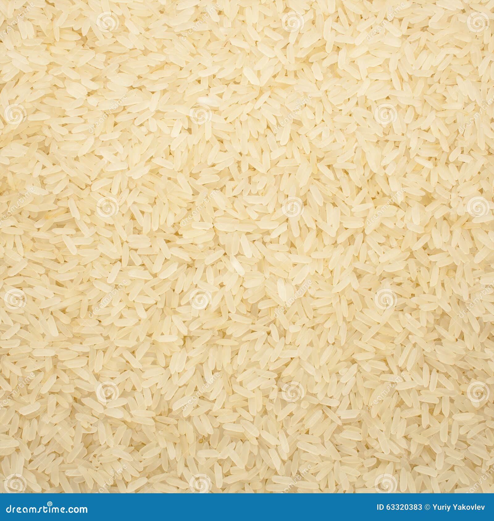 Grains of rice close-up stock image. Image of close, kernel - 63320383