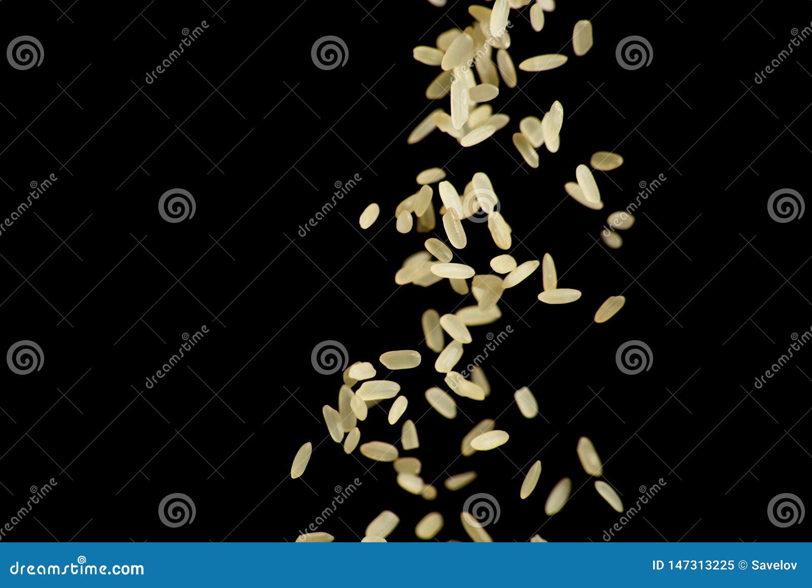 Rice Grains Stock Photography | CartoonDealer.com #13033796