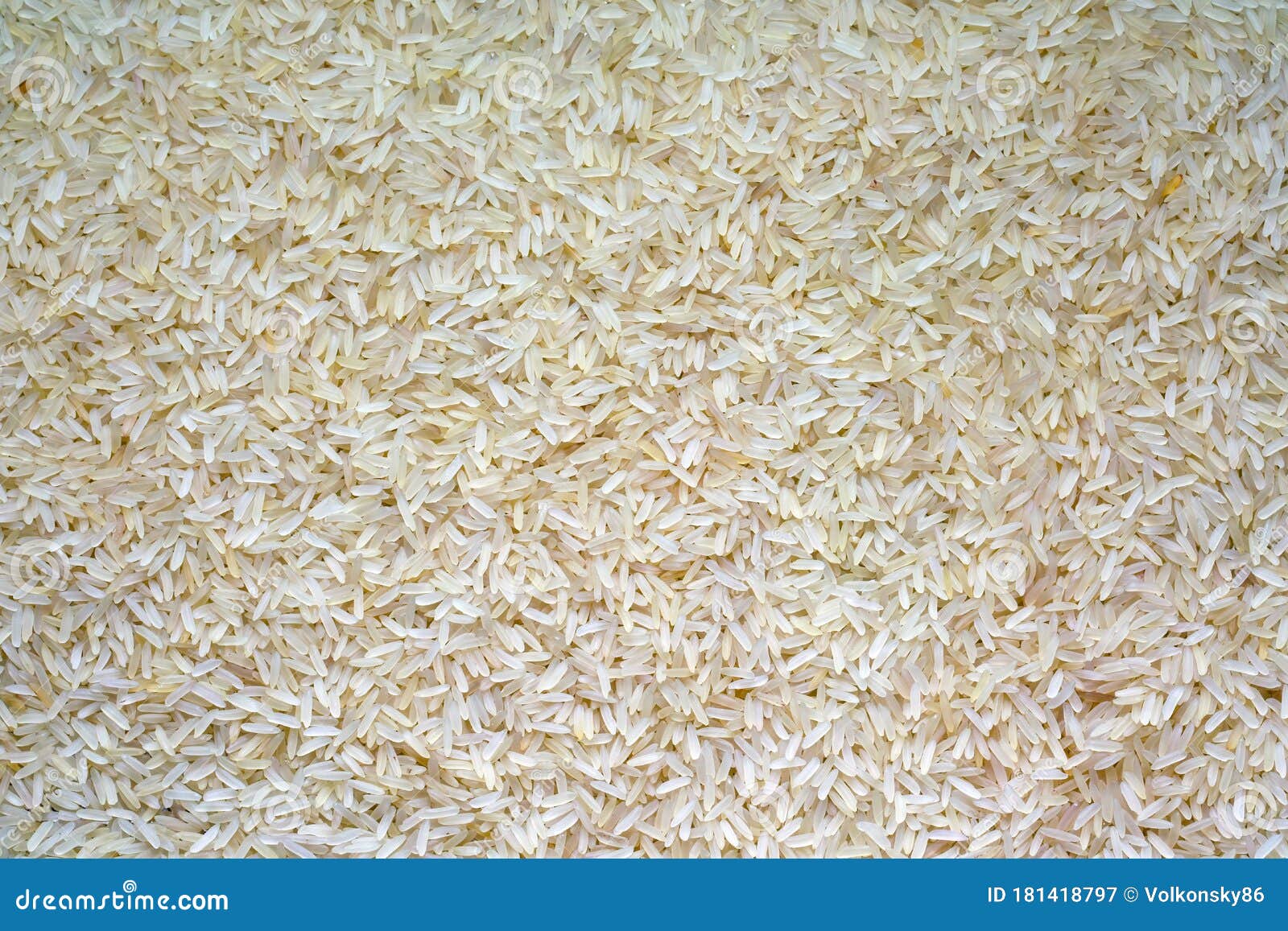 Grains of Rice Scattered on the Surface. Stock Image - Image of cement ...