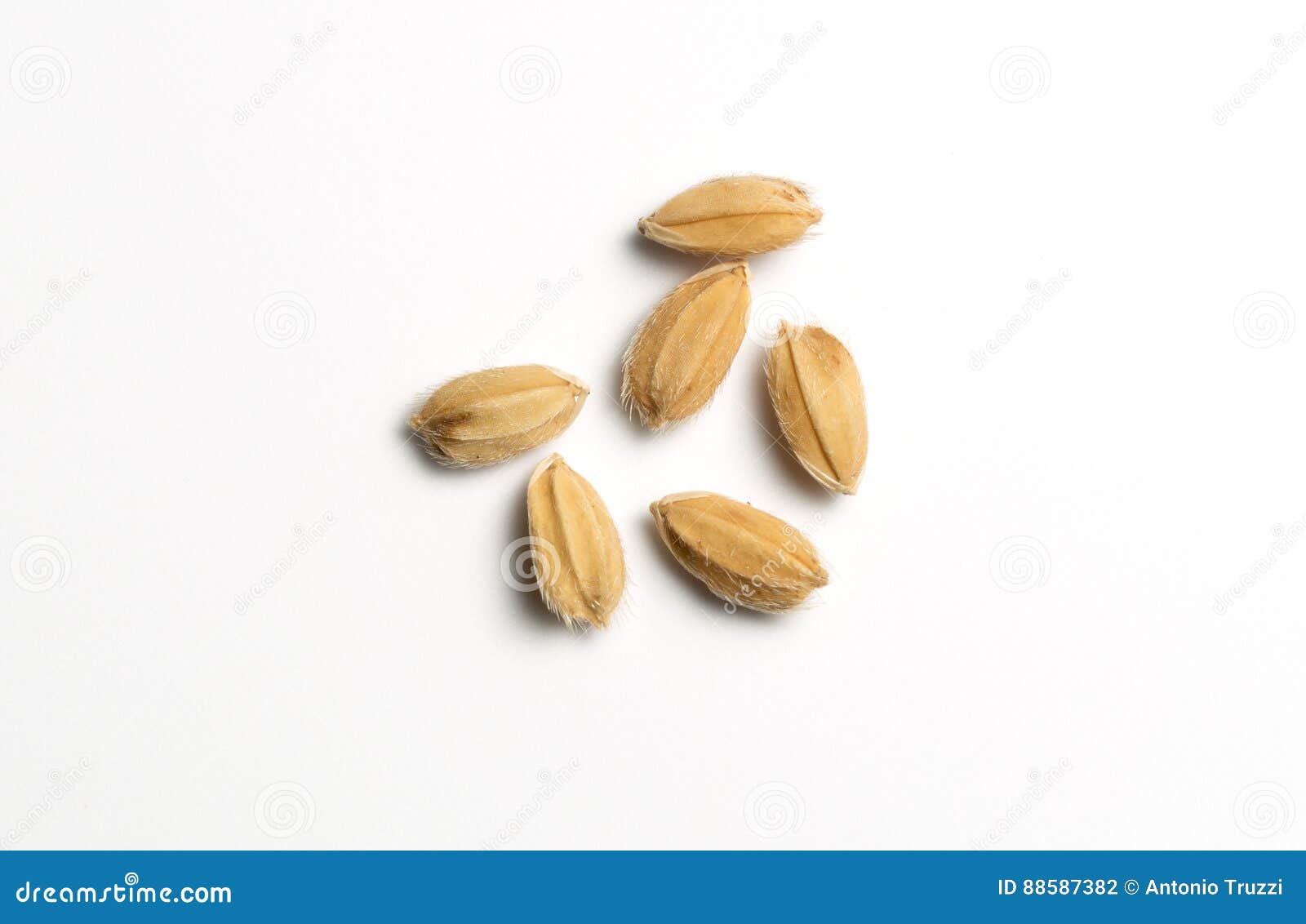 Grains of rice unpeeled stock photo. Image of brown, organic - 88587382