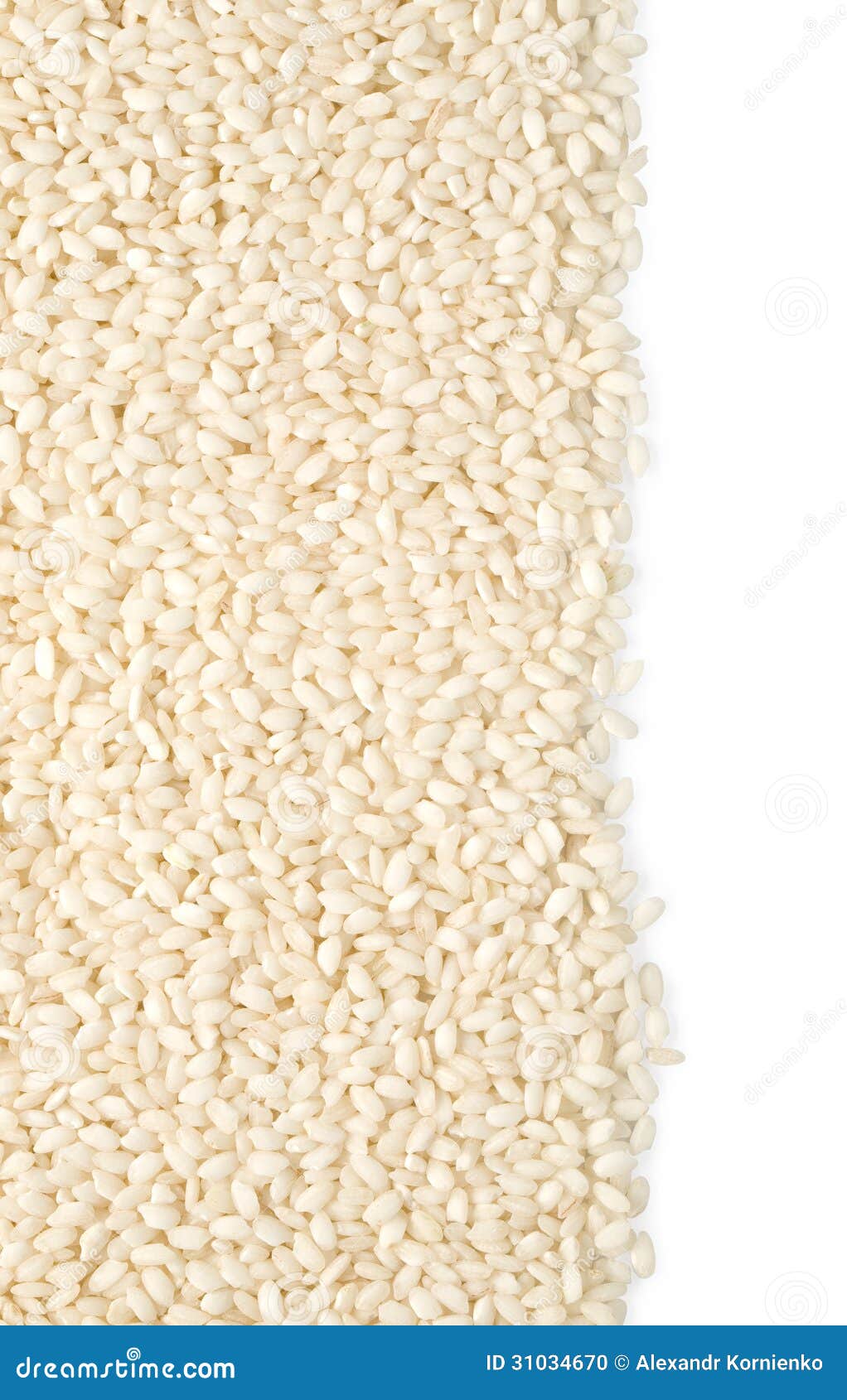 Grains of rice stock photo. Image of rices, organic, background - 31034670