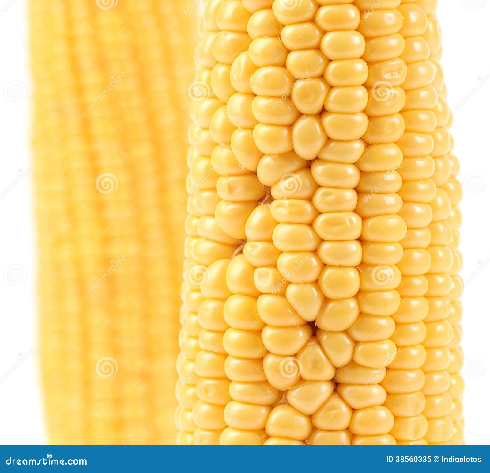 Grains of ripe corn stock image. Image of products, agrarian - 38560335