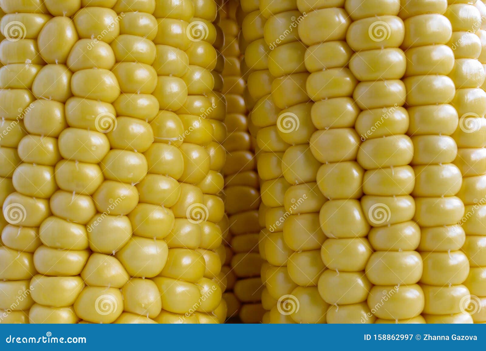 Grains of Ripe Corn. Side View, Corn Background. Macro Image. Yellow ...