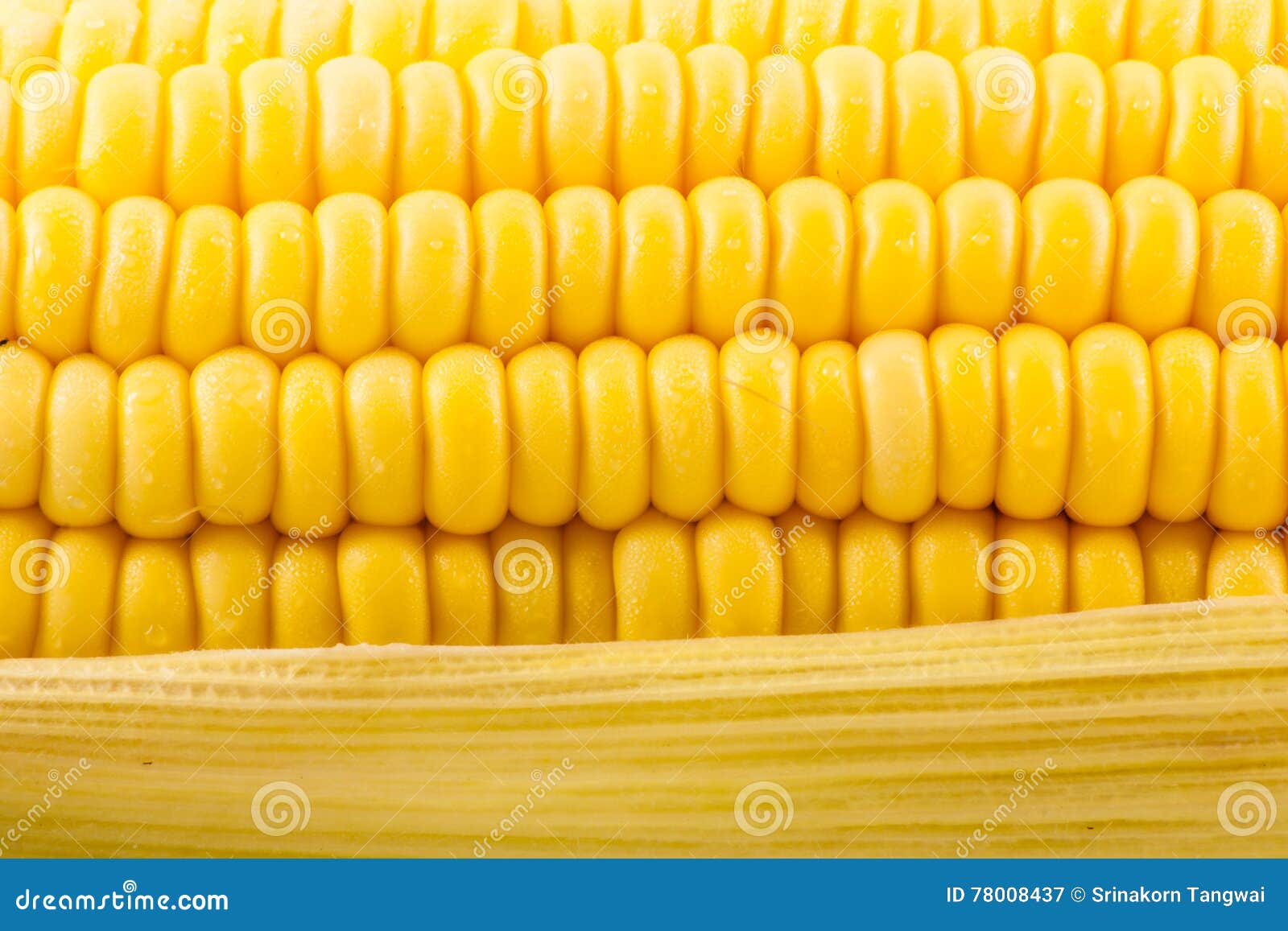 Grains of Ripe Corn stock image. Image of texture, cereal - 78008437