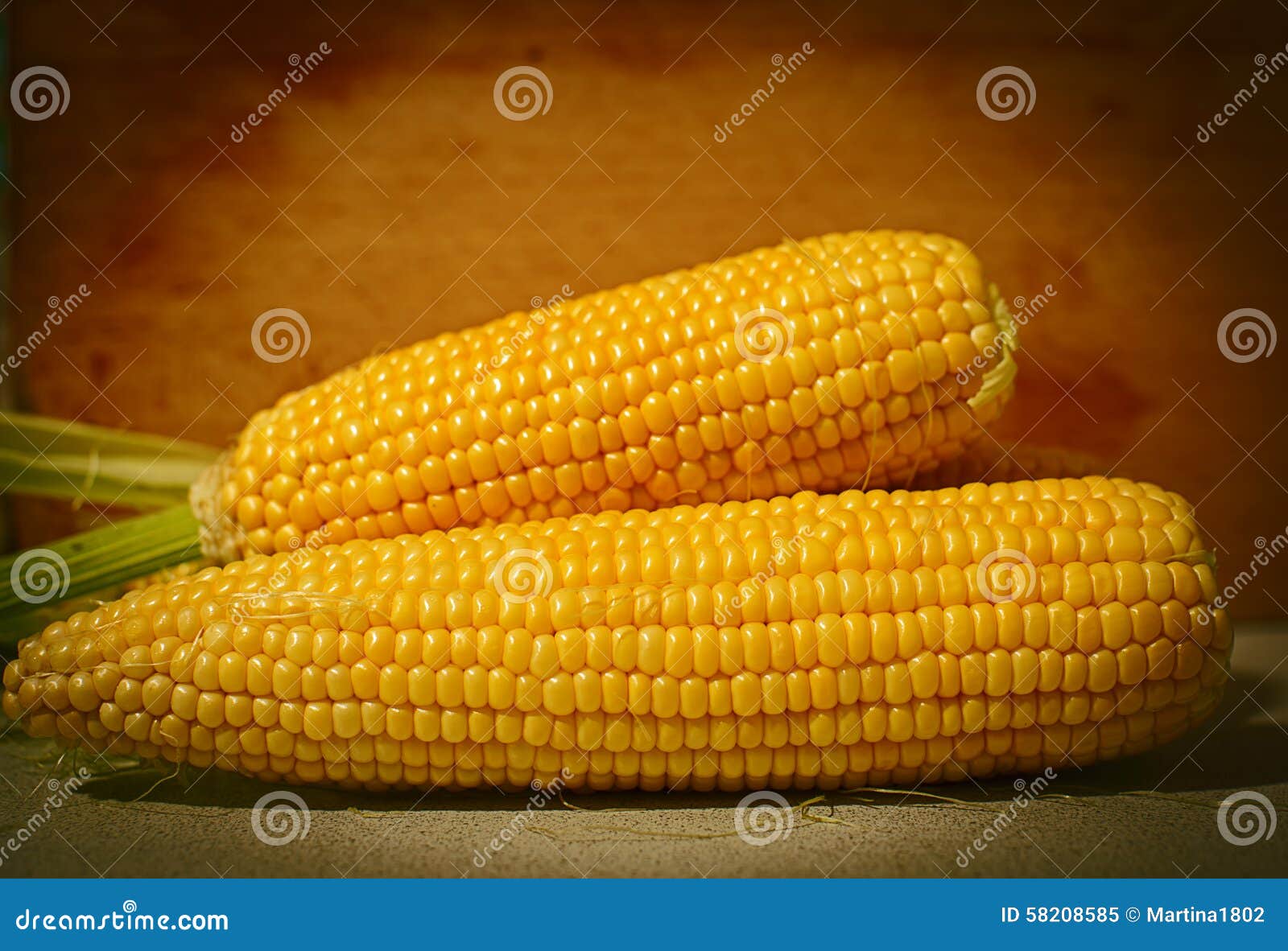 Grains of ripe corn stock image. Image of farmer, corn - 58208585