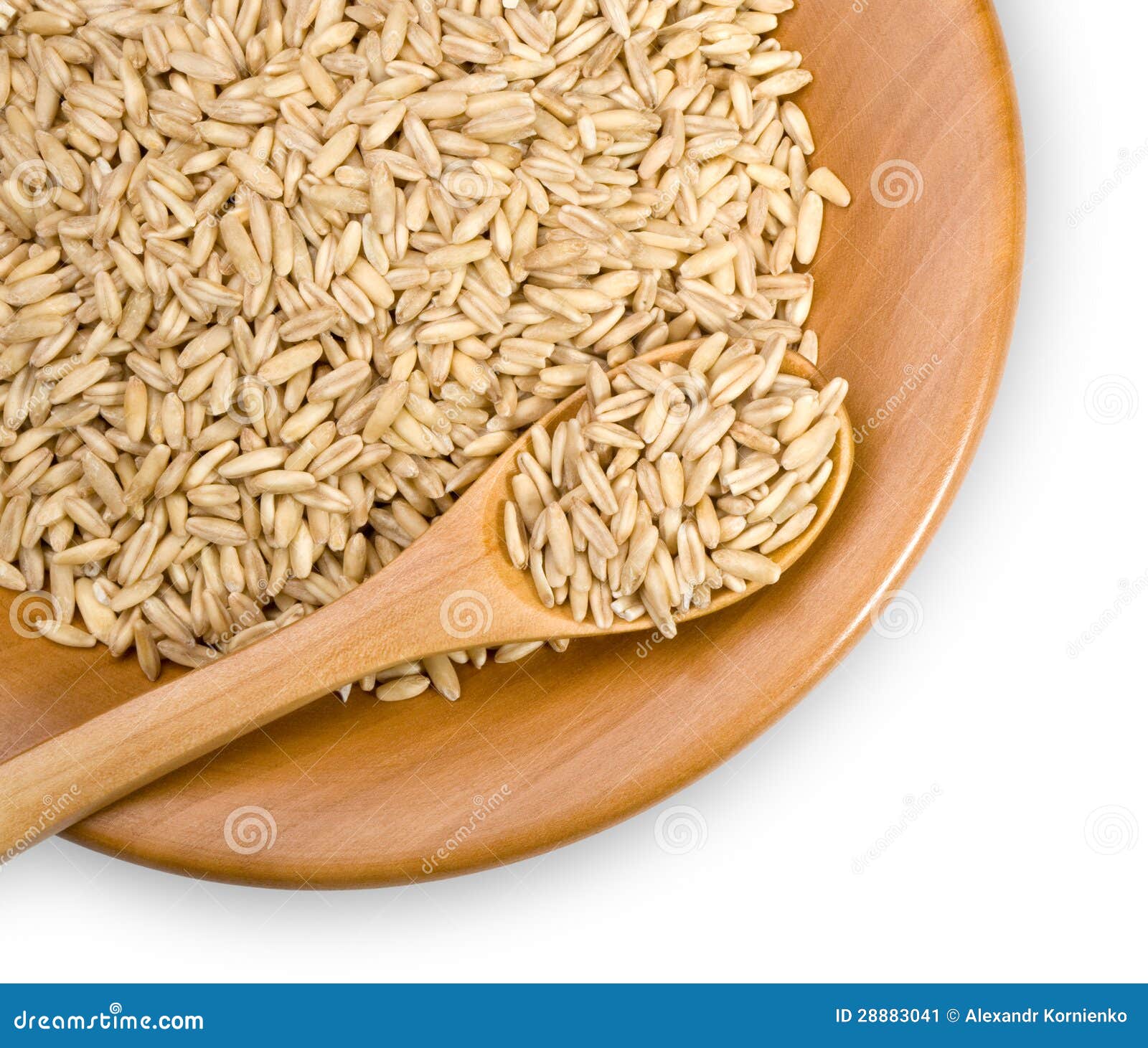 Grains of rye stock image. Image of cook, grain, agriculture - 28883041