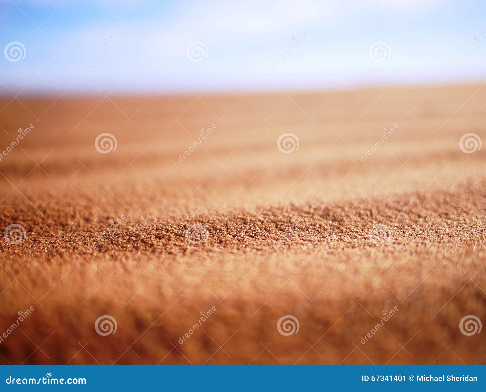 Grains of Saharan sand stock image. Image of background - 67341401