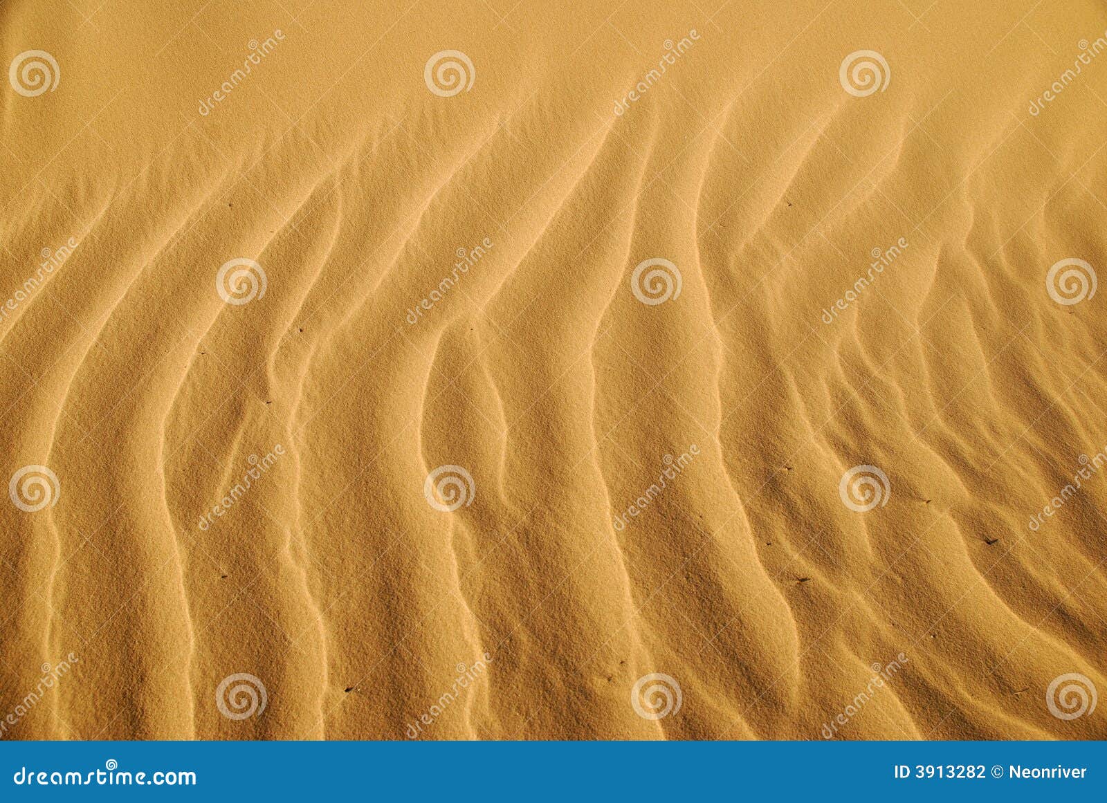 Grains of Sand stock photo. Image of terrain, dune, landscape - 3913282