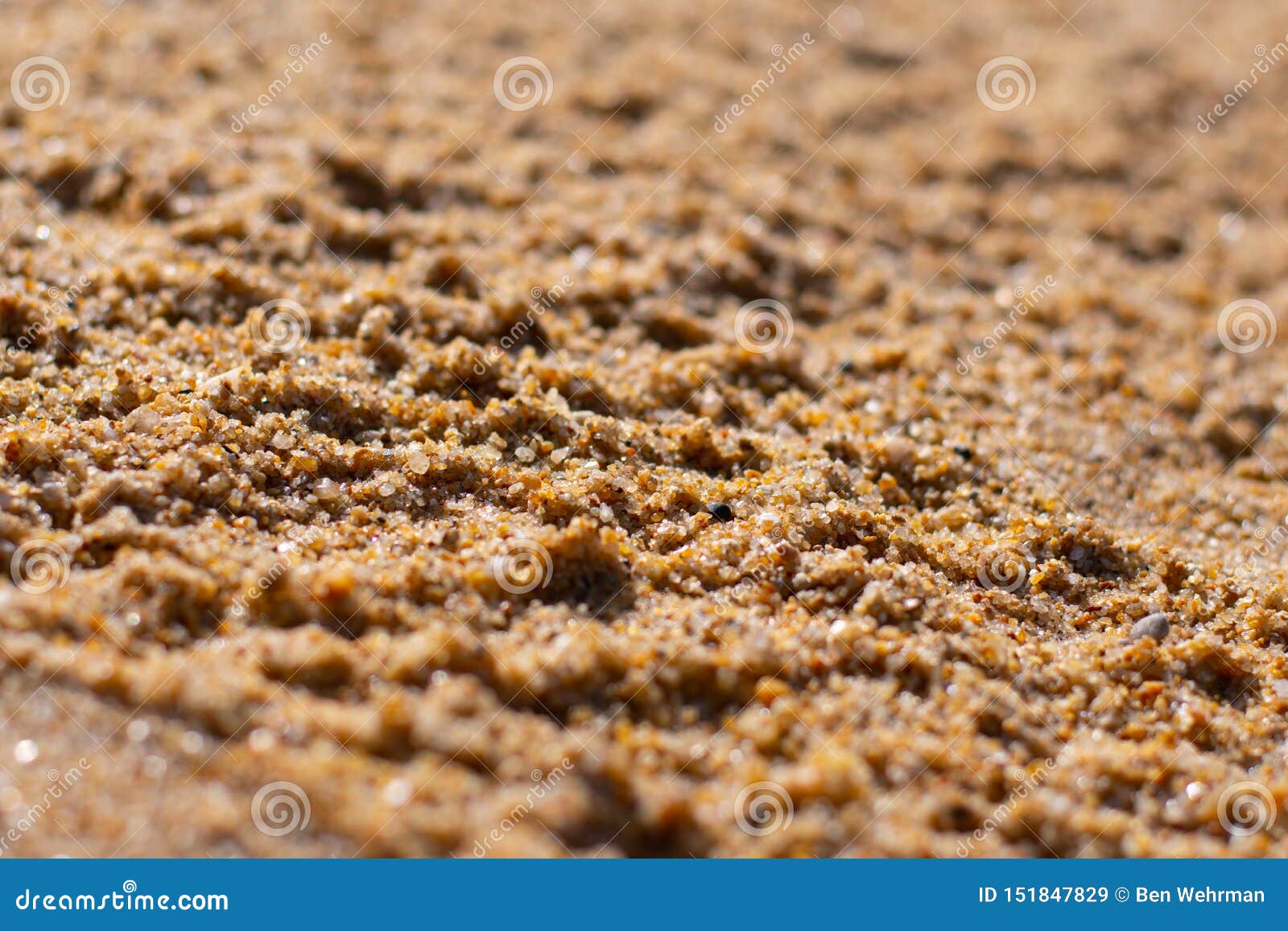 Grains of sand detail stock image. Image of rock, east - 151847829