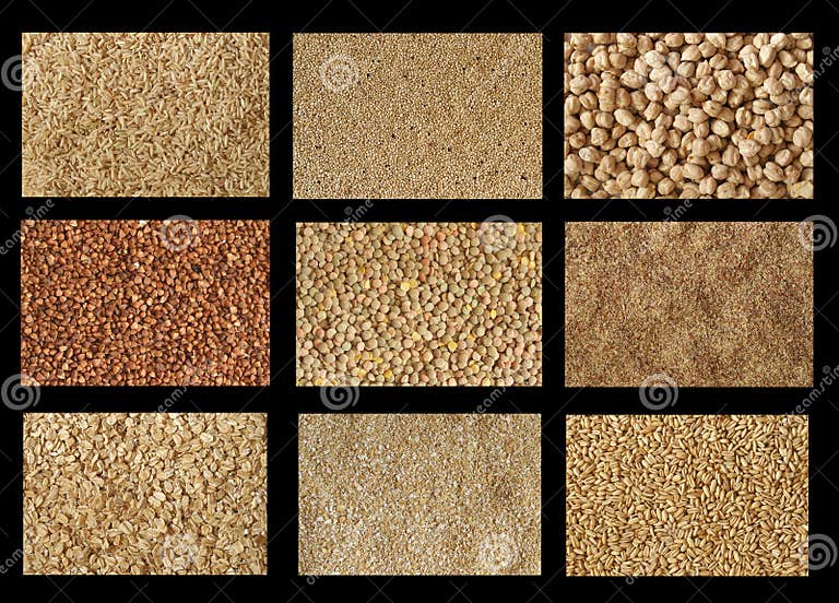 Grains textures stock photo. Image of oats, seeds, close - 13028388