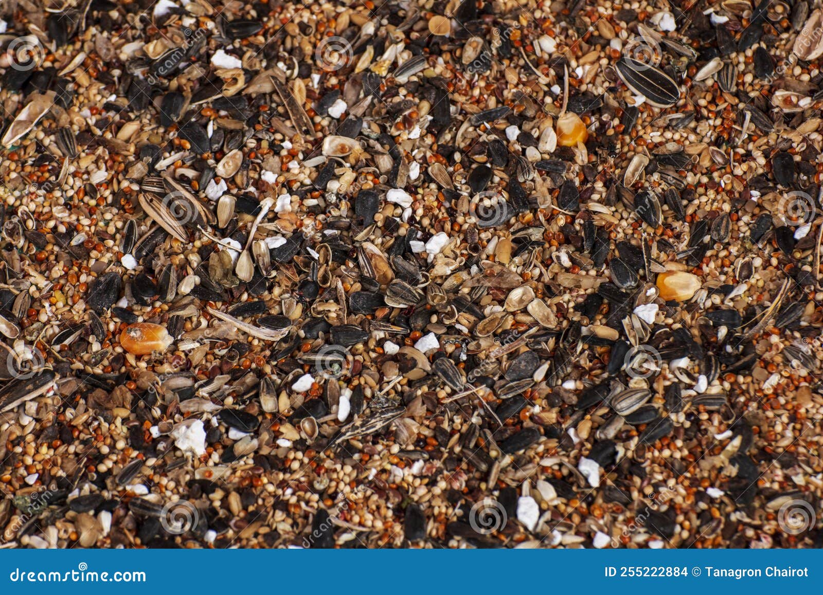 The Grains Were Eaten by Animals Background. Stock Photo - Image of ...
