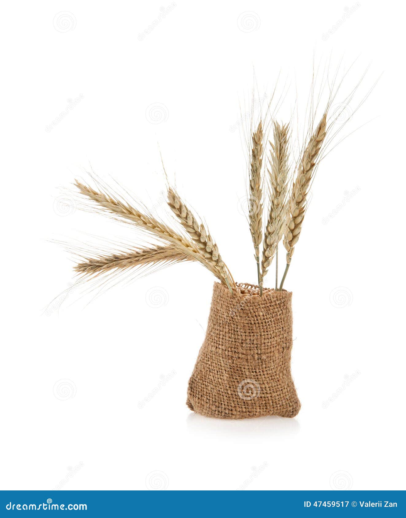 Grains of wheat in a sack stock image. Image of background - 47459517