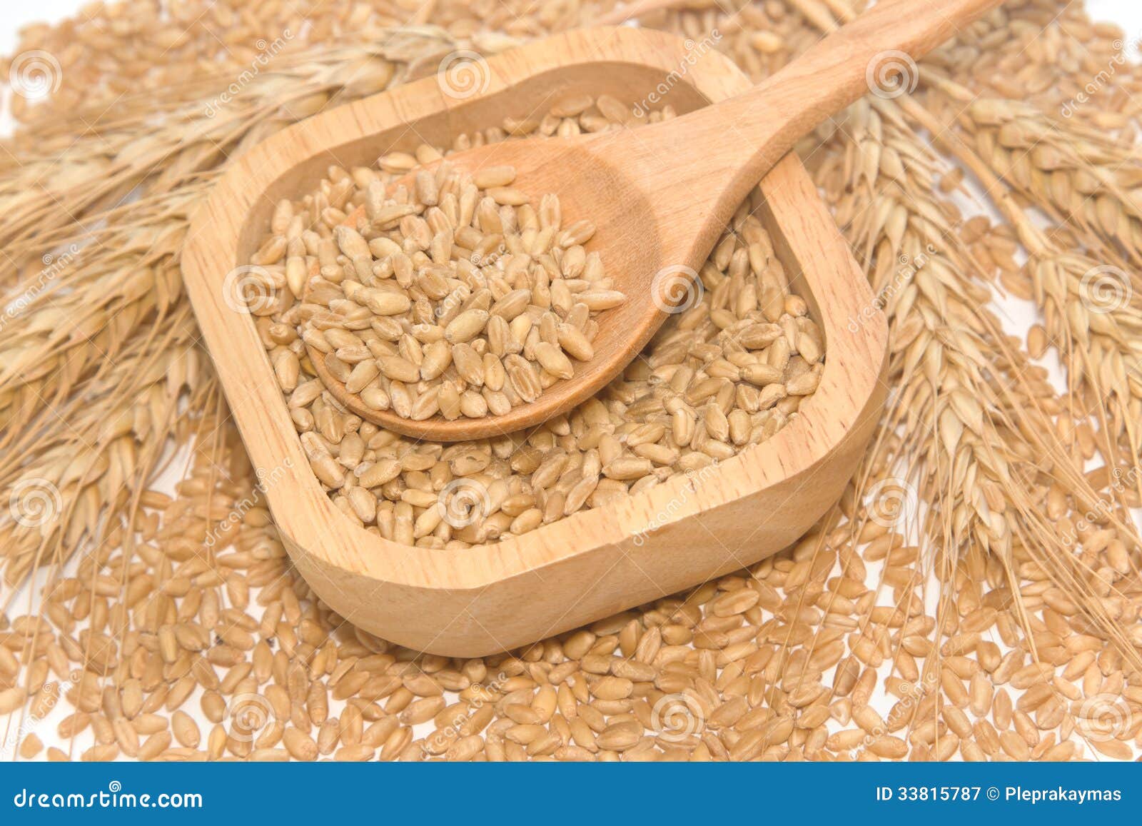 Grains of Wheat in Wooden Spoon Stock Image - Image of germ, rural ...