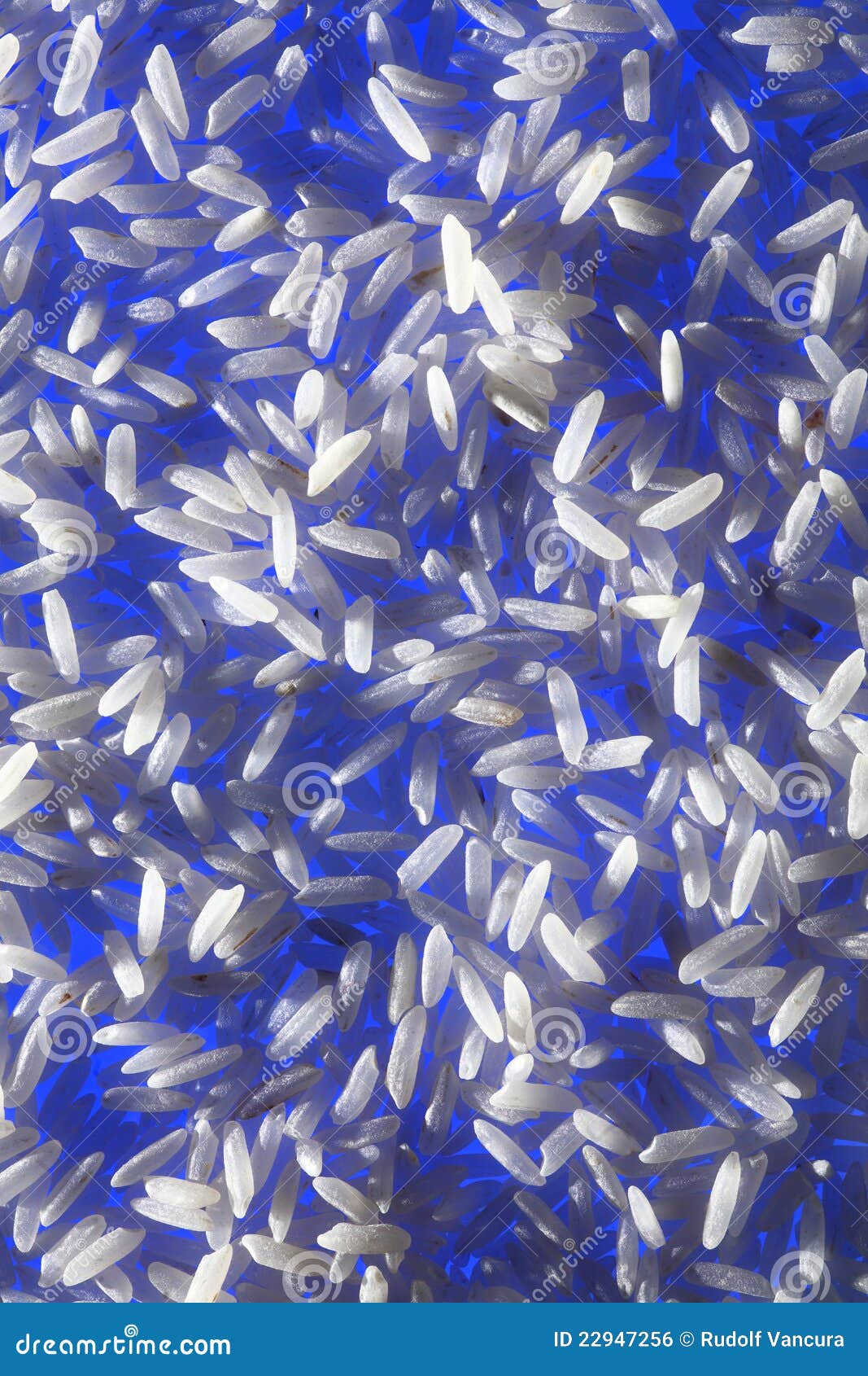 Grains of White Rice on Blue Stock Photo - Image of rice, bright: 22947256