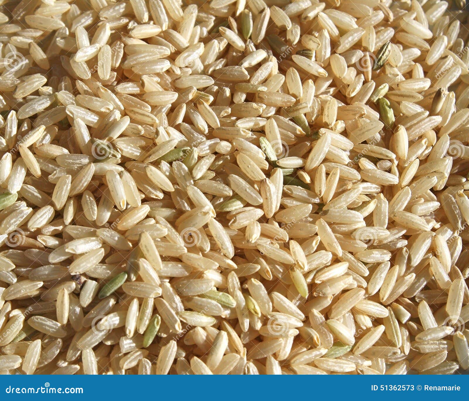 Grains of Wholesome and Nutritious Brown Rice Stock Image - Image of ...